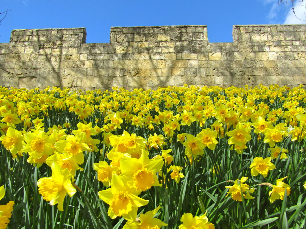15 Photos to Convince You to Visit York in Spring - Away With Maja