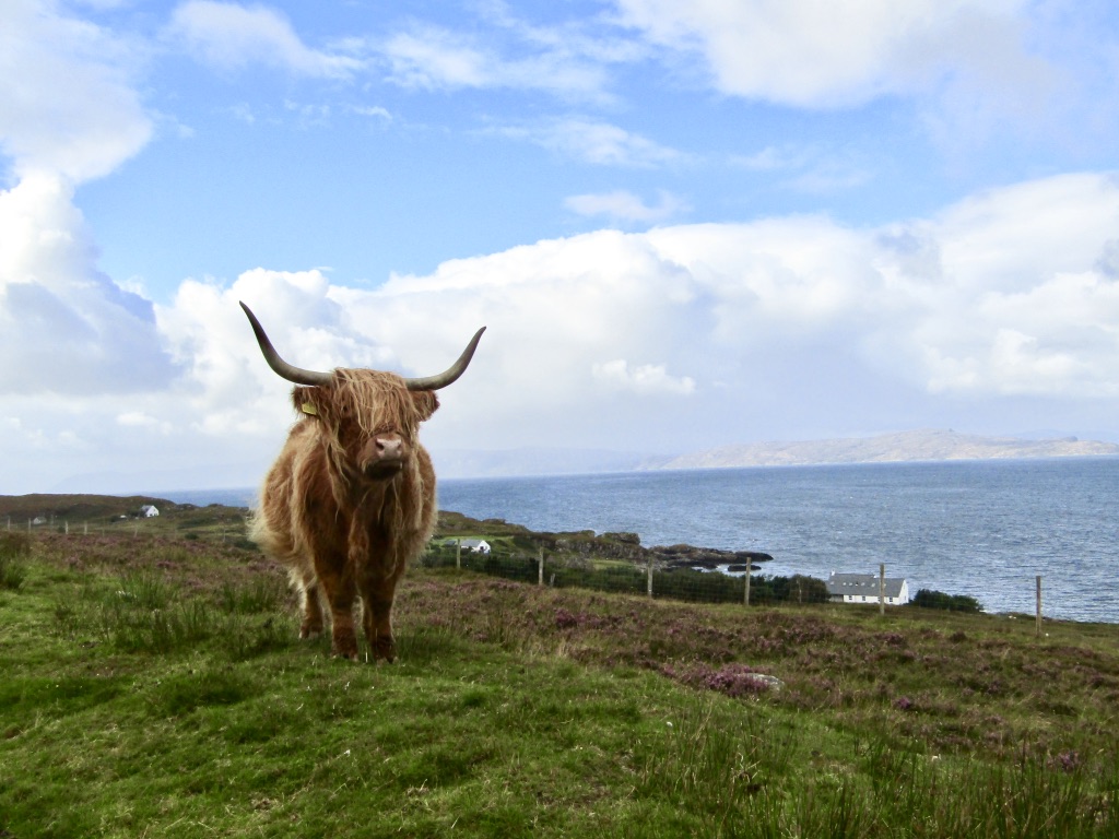 What You Need to Know About the North Coast 500 in Scotland Before You ...