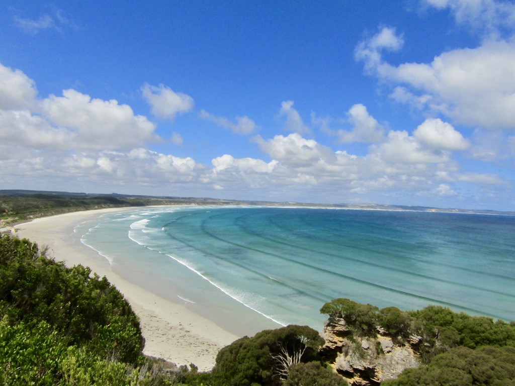 Cape Bridgewater: Hiking to the Seal Colony - Away With Maja
